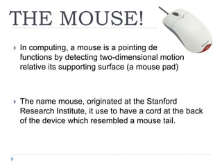 The Mouse | PPTX
