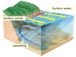 Movement of Ocean Water | PPT