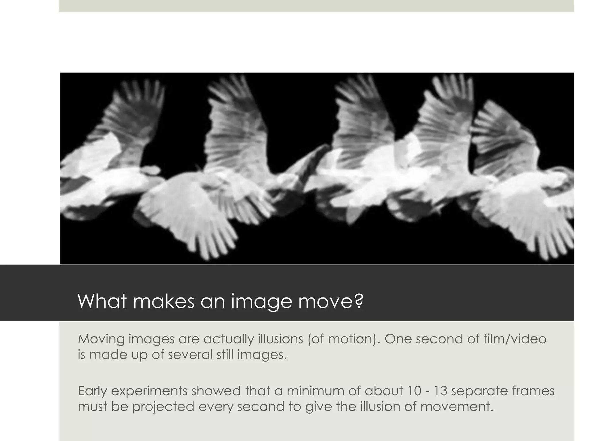 The Moving Image & Immersion | PPTX