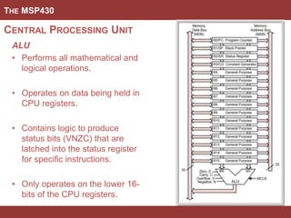 The_MSP430_Slides.pptx
