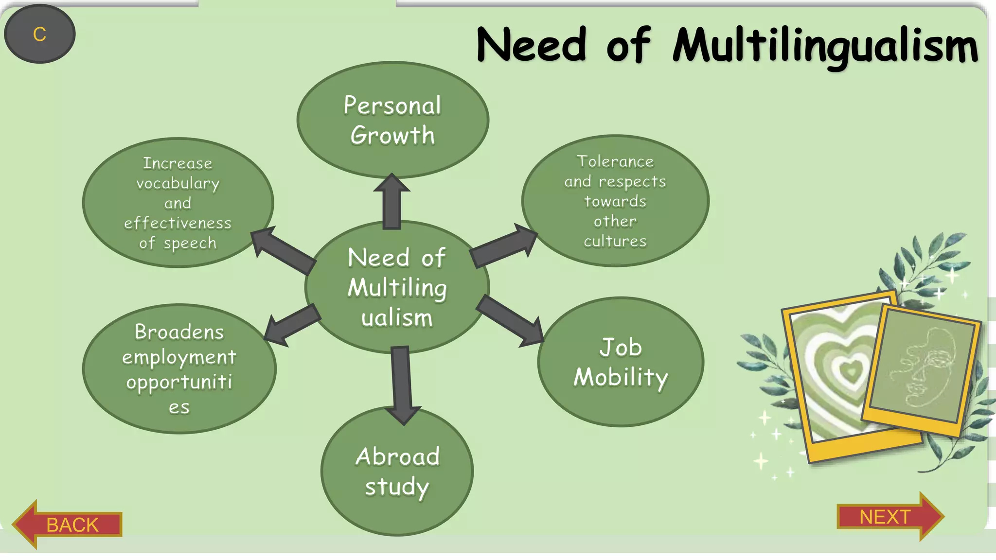 The multilingual turn in the outer layer world.pptx | Education