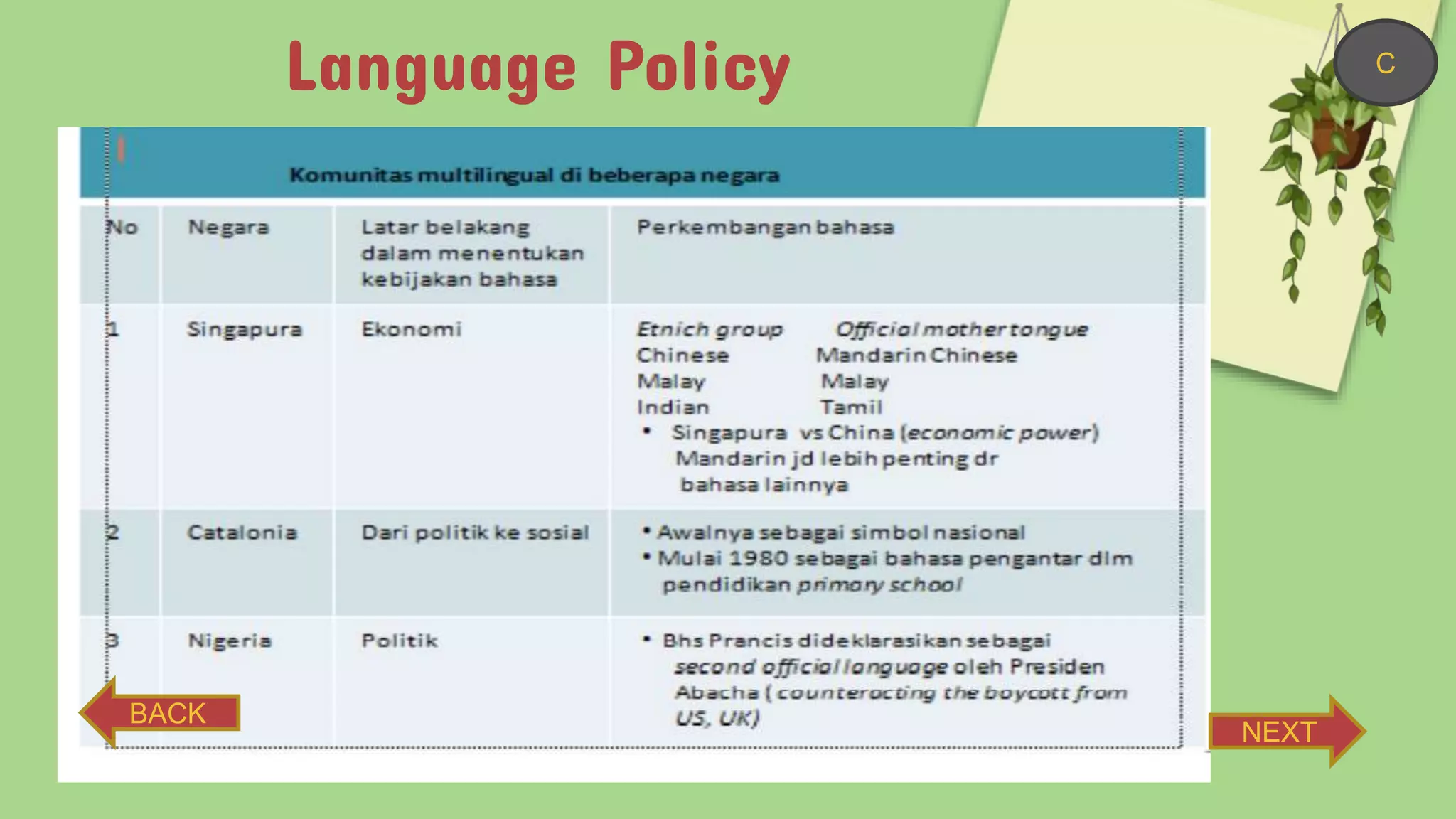 The multilingual turn in the outer layer world.pptx | Education