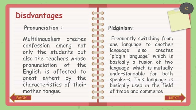 The multilingual turn in the outer layer world.pptx | Education