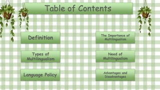 The multilingual turn in the outer layer world.pptx | Education