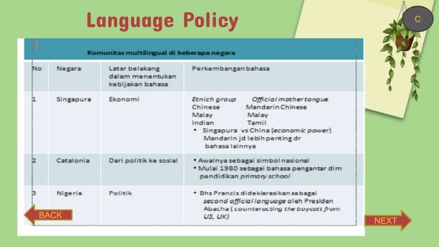 The multilingual turn in the outer layer world.pptx | Education