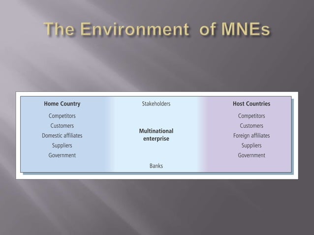 The multinational enterprise | PPTX | Large Business | Business
