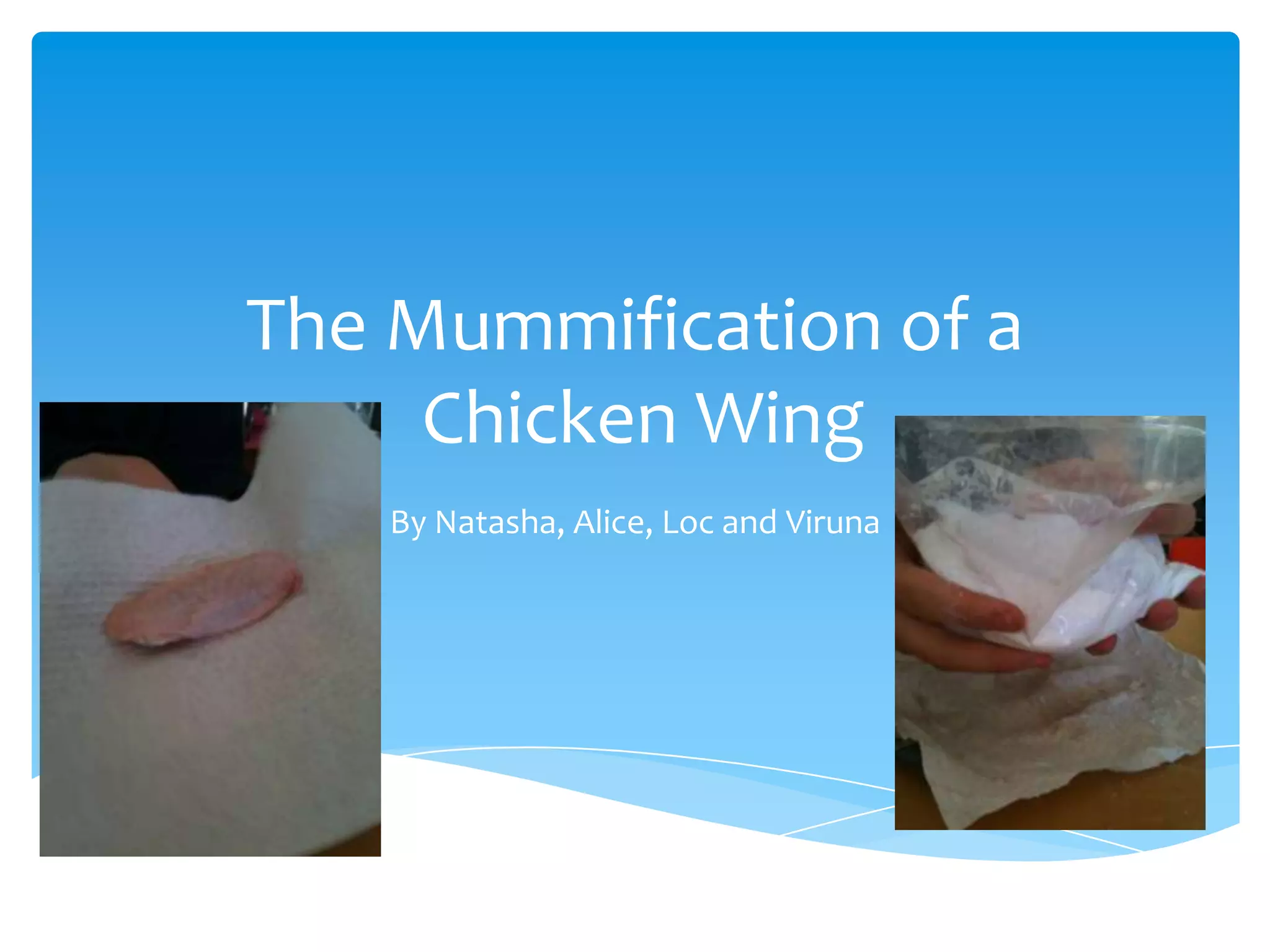 Mummification of a chicken wing | PPTX