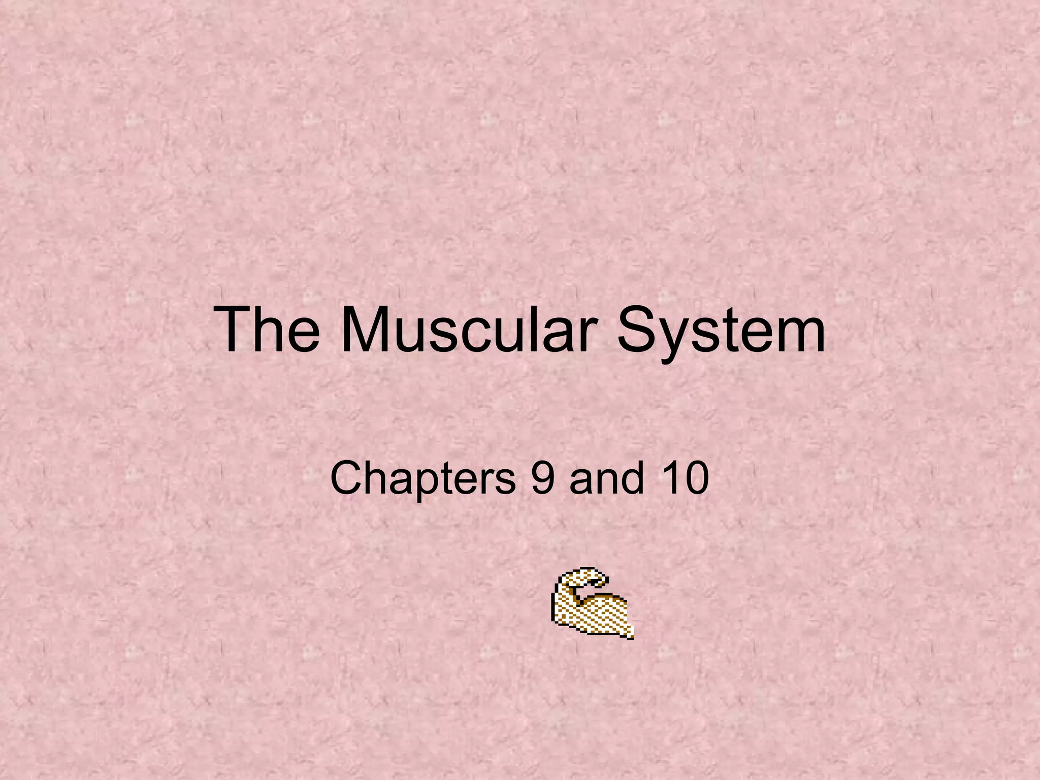 The Muscular System | PPT
