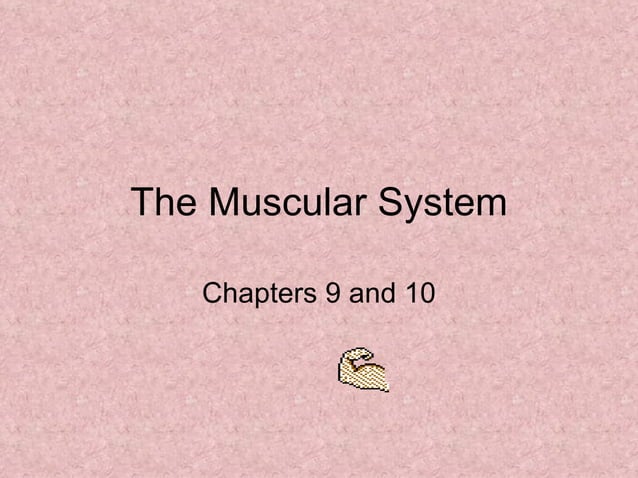 The Muscular System | PPT | Biological Sciences | Science