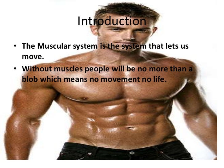 Most Defined Muscles