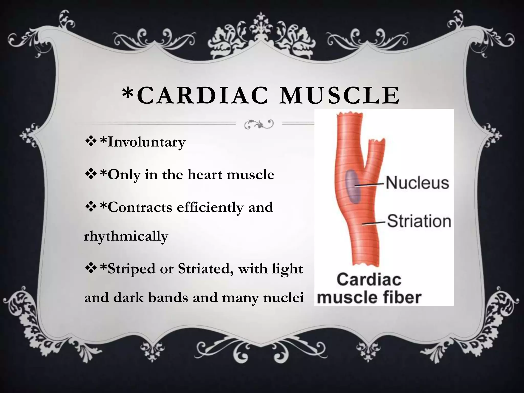 The muscular system | PPTX