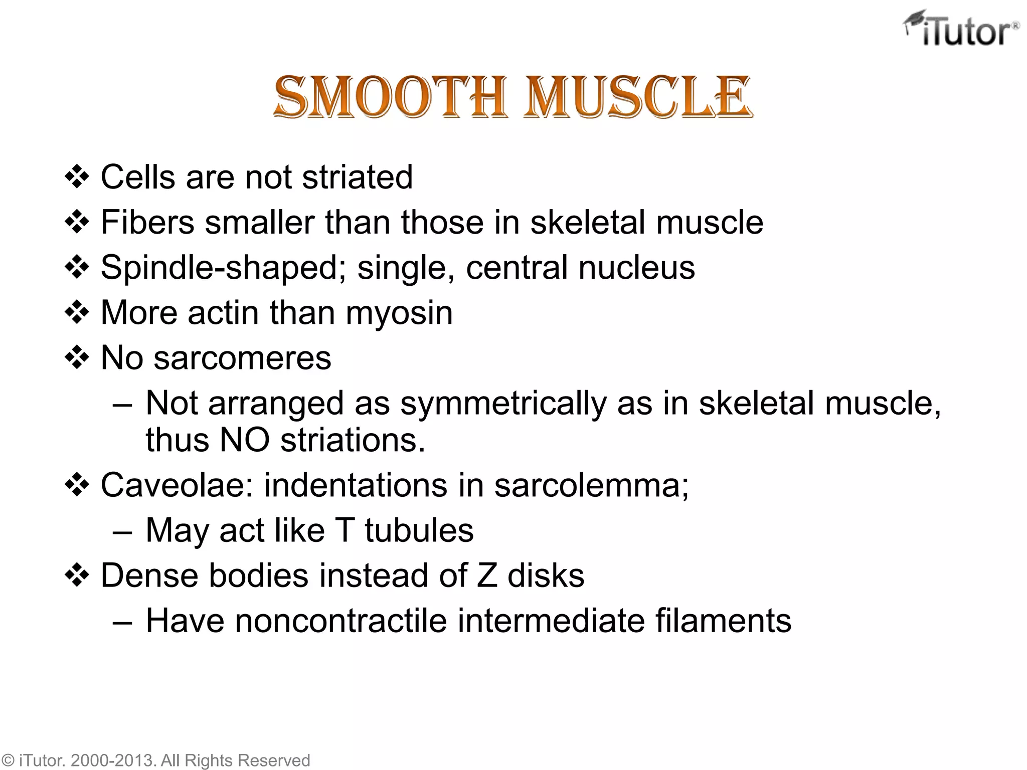 The Muscular System | PPTX