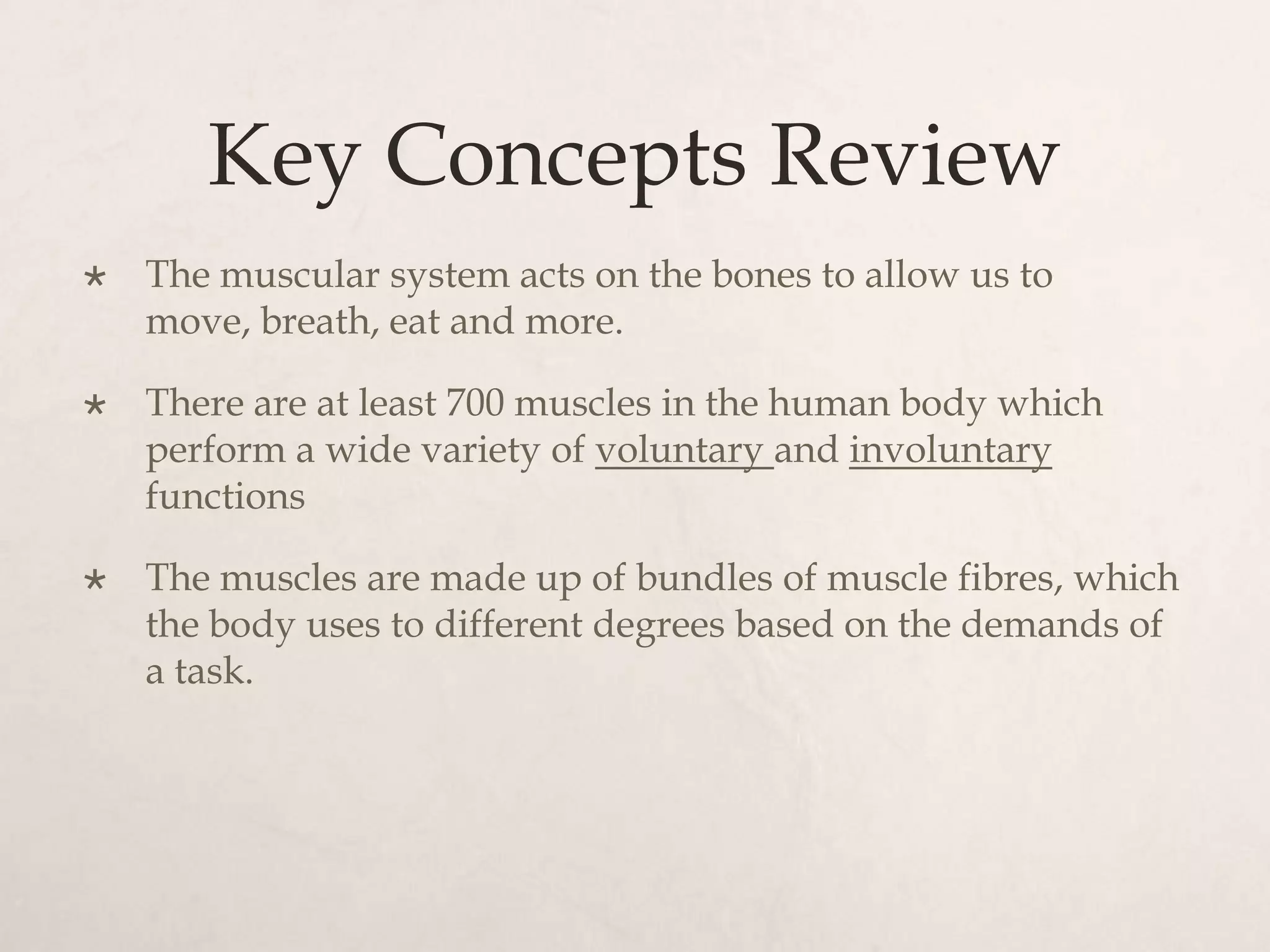 The muscular system | PPT