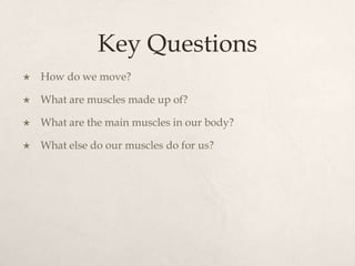 The muscular system | PPT