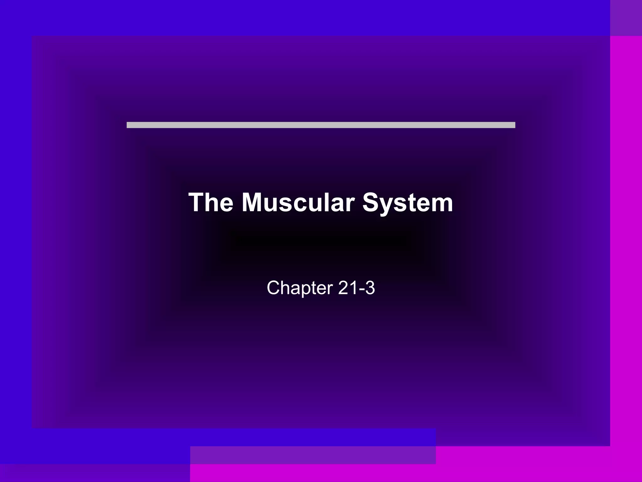 The muscular system | PPT
