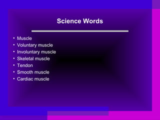 The muscular system | PPT