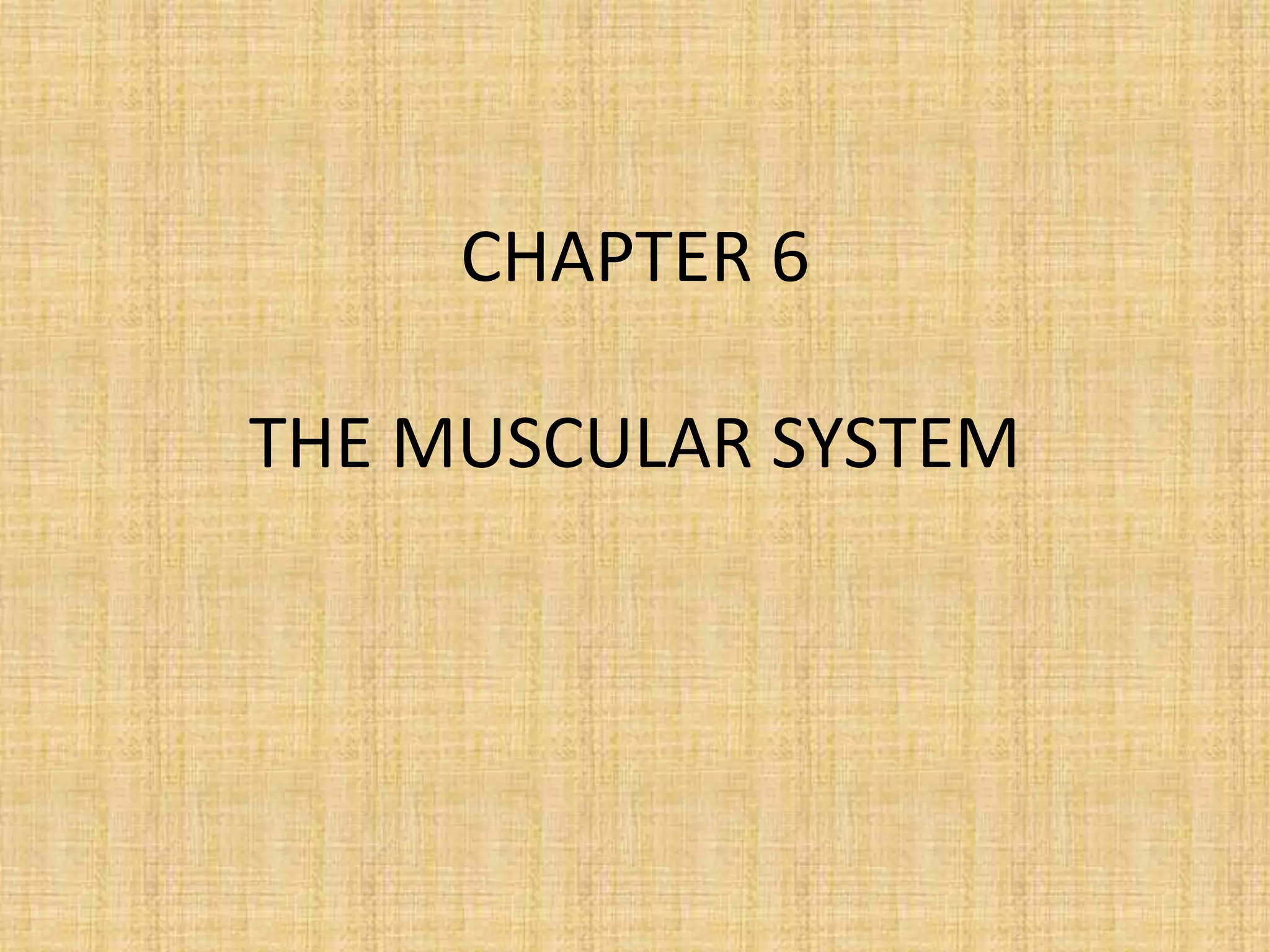 The muscular system | PPTX