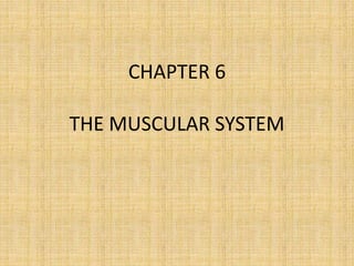The muscular system | PPTX