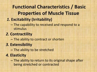 Functional Characteristics Of Muscles