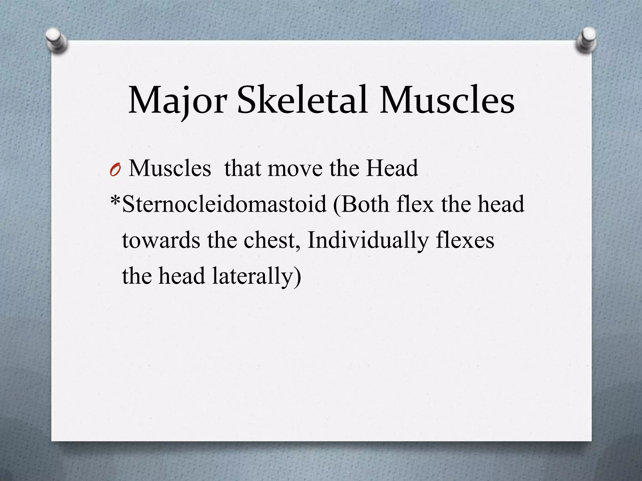 The muscular system | PDF