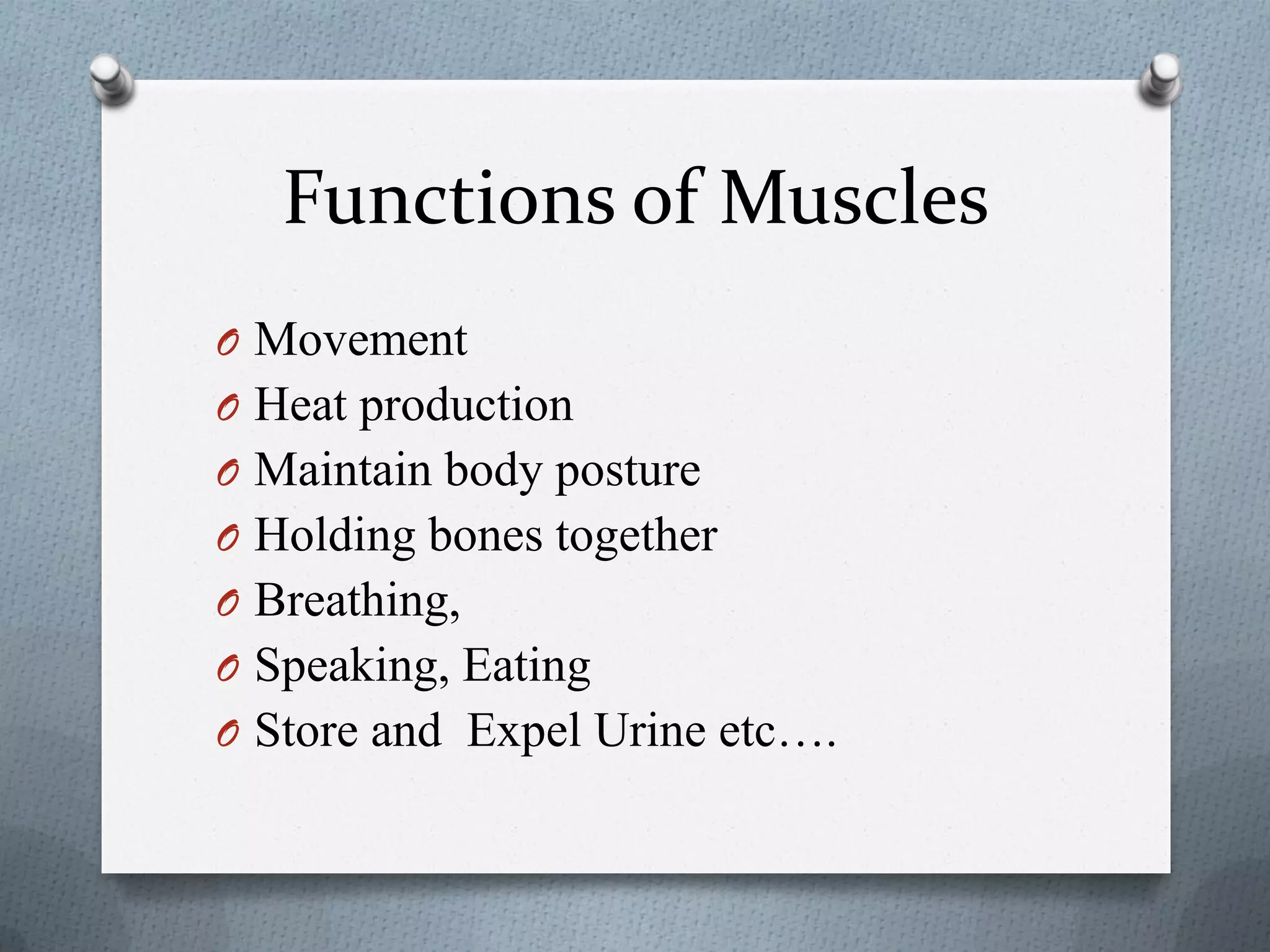 The muscular system | PDF