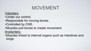 The muscular system | PPTX