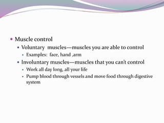 The muscular system | PPT