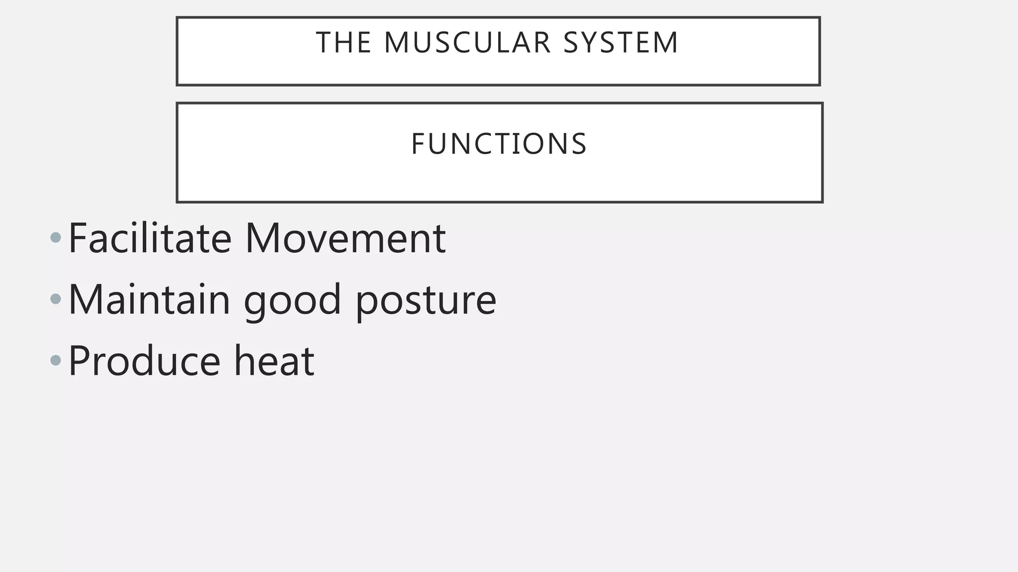 The muscular system | PPTX