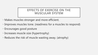 The muscular system | PPTX
