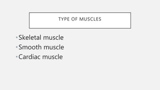 The muscular system | PPTX