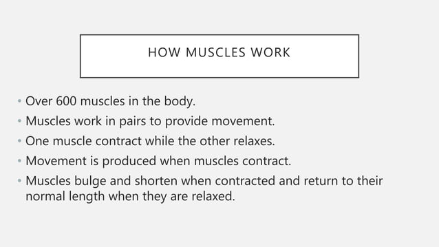 The muscular system | PPT
