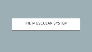 The muscular system | PPT