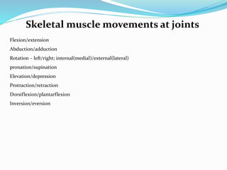 The muscular system | PPT