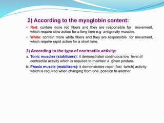 The muscular system | PPT