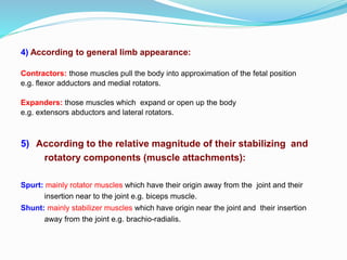 The muscular system | PPT