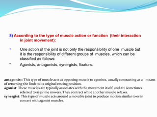 The muscular system | PPT
