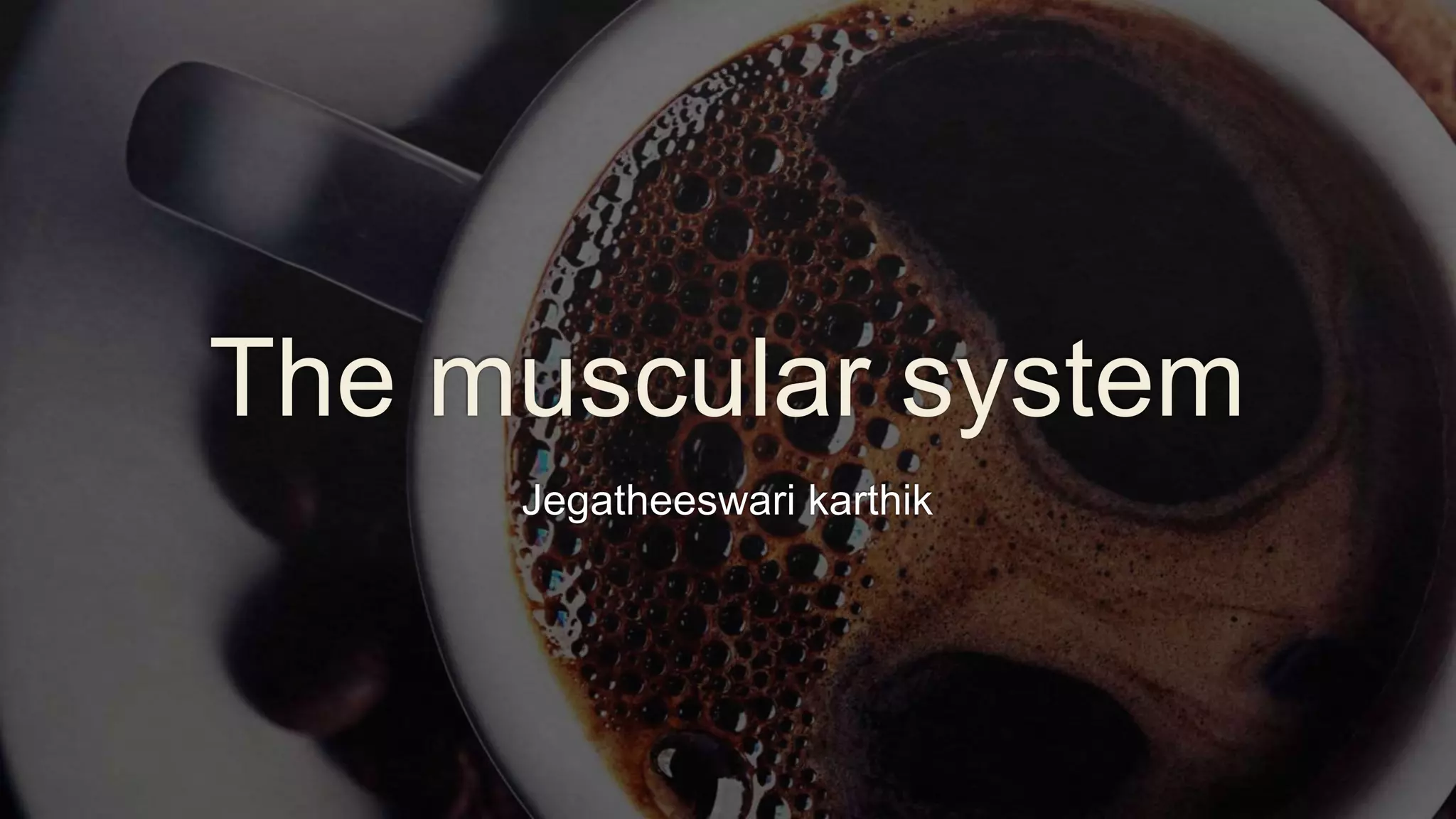 The muscular system | PPT