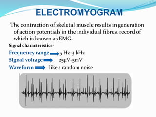 The Muscular System.pptx