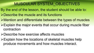 THE MUSCULAR SYSTEM.pptx