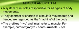 THE MUSCULAR SYSTEM.pptx