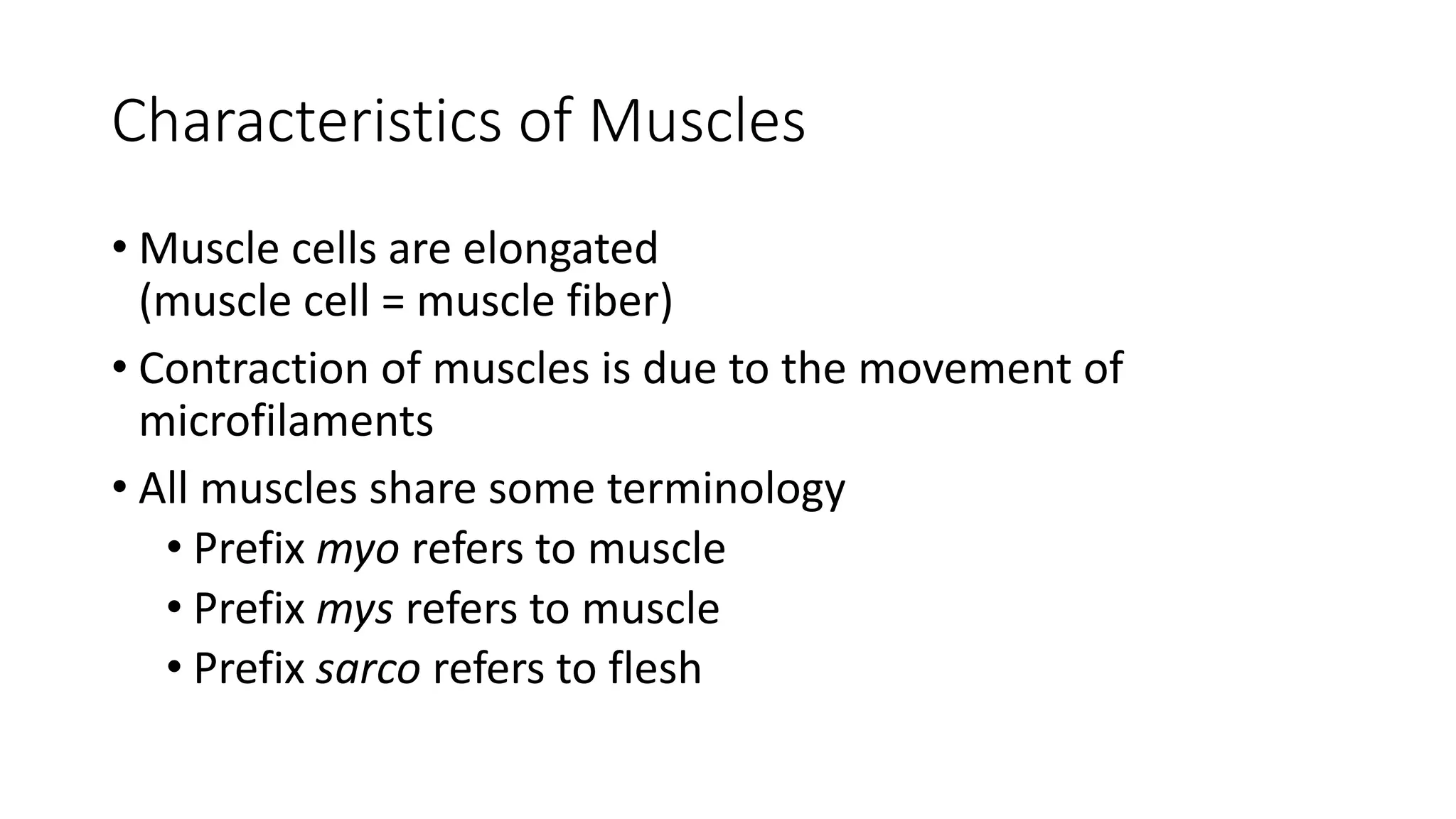 The Muscular System.pptx anatomy and human physiology | PPTX