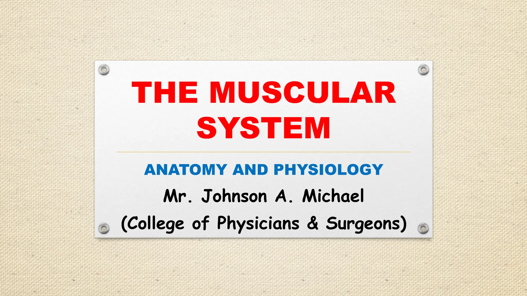 THE_MUSCULAR_SYSTEM Anatomy power point T | PPTX
