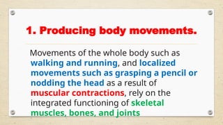 THE_MUSCULAR_SYSTEM Anatomy power point T | PPTX