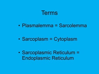 The muscular system | PPT