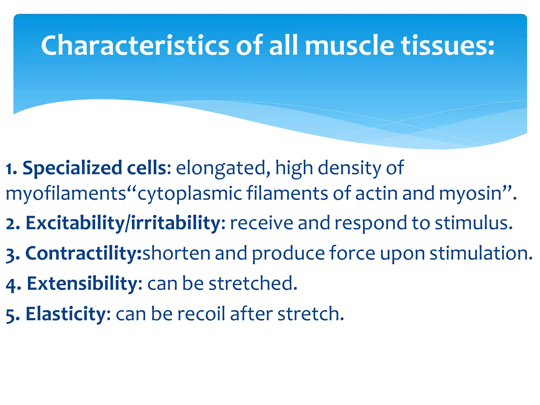 the muscular system 6 (1).docx