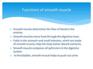 the muscular system 6 (1).docx