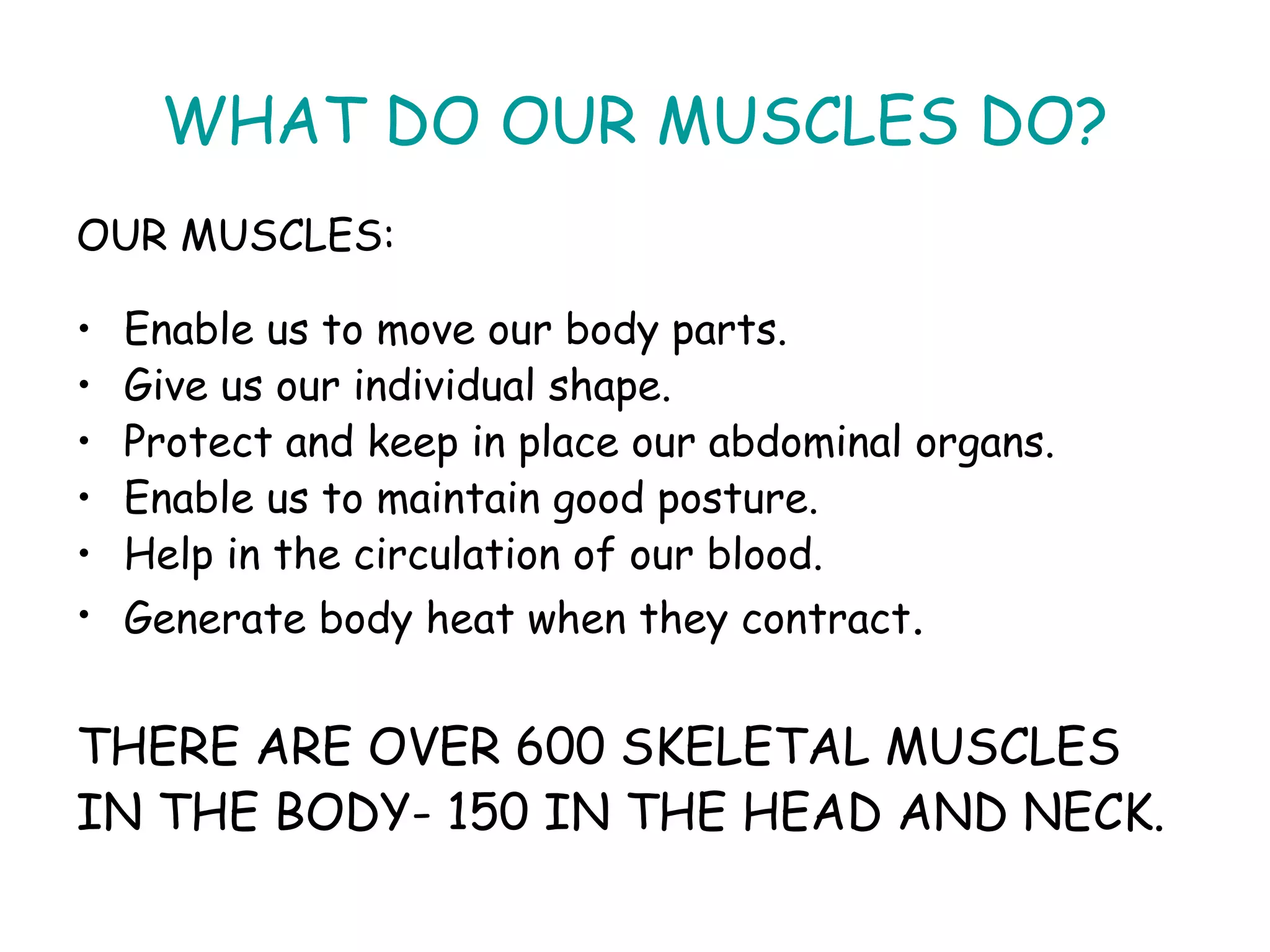 The muscular system | PPT
