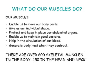 The muscular system | PPT