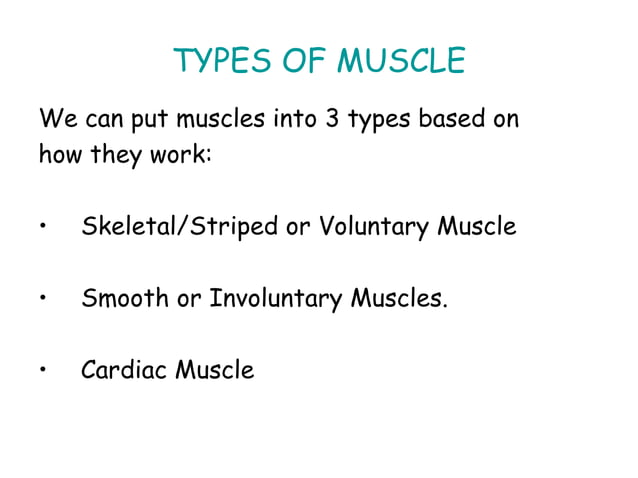 The muscular system | PPT