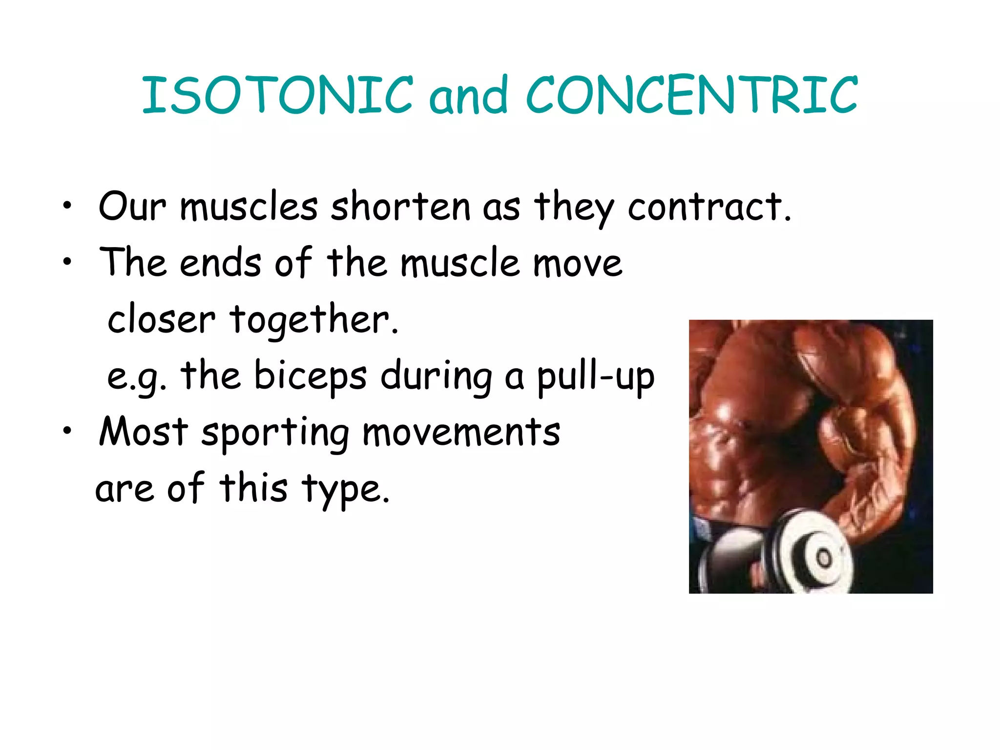 The muscular system powerpoint | PPT